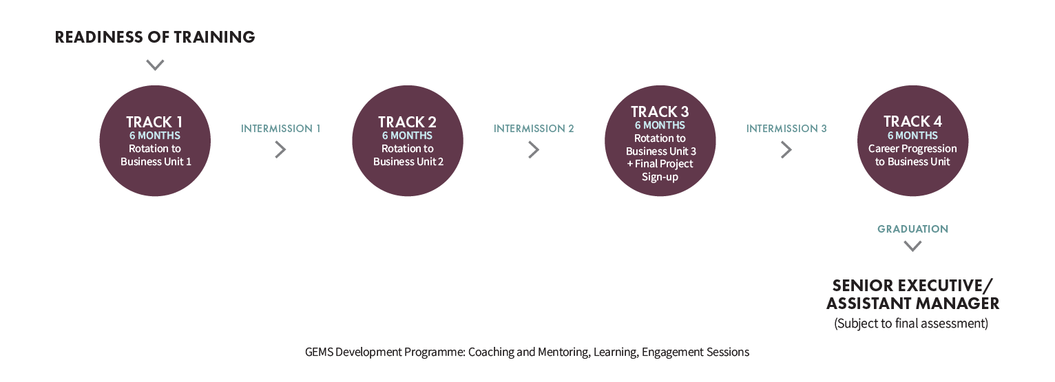 GEMS Trainee Program | HABIB JEWELS